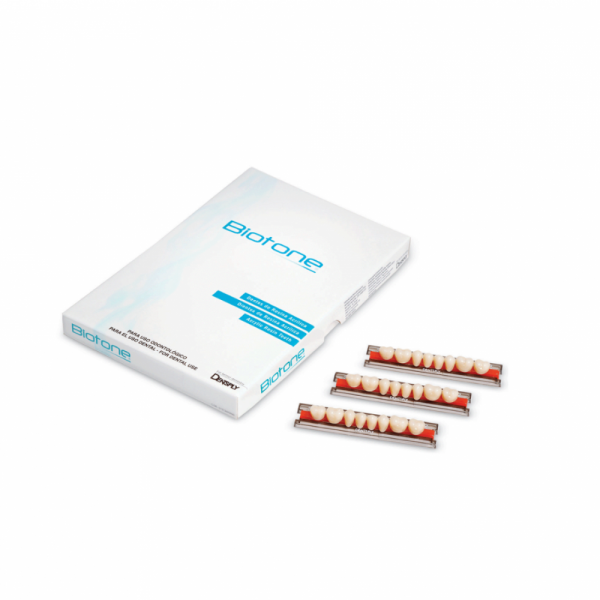 Dente Anterior Superior 65 - Biotone | Dental Passaro